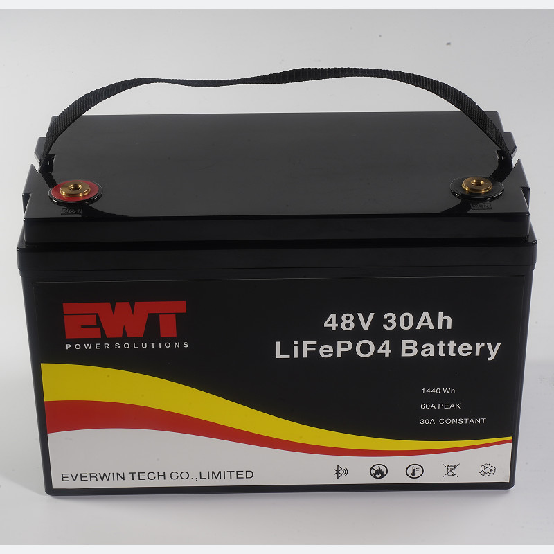 Smart Battery Pack Capacity Display With BMS 48V 30AH Support Factory ...
